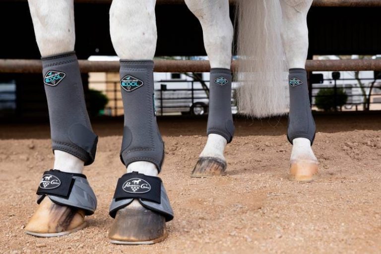 Professional Choice Boots Official Website - Premium Horse Footwear